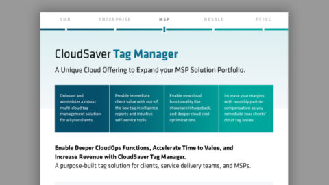 Tag Manager for MSPs - CloudSaver.com